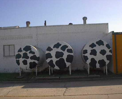 Fuel Tank Art #2: Animal Tanks – heatingoilinfo